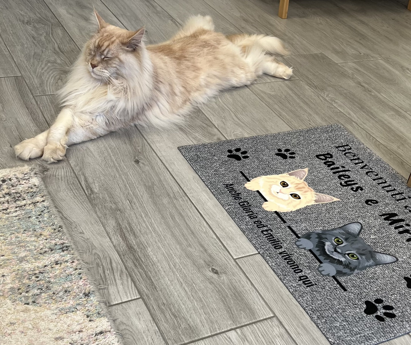 Pet Printed – Articoli personalizzati per umani & animali – Pet Printed IT